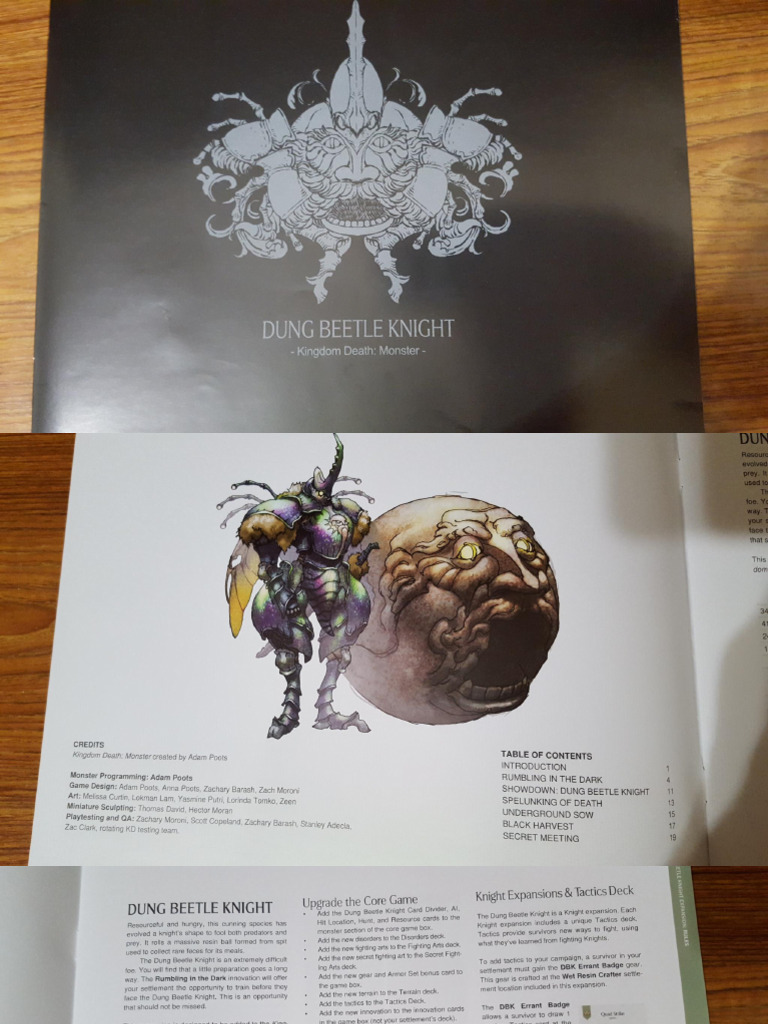 Dung Beetle Knight Book | PDF