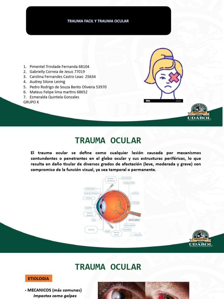 TRAUMA Facial | PDF | Anatomía | Anatomía humana