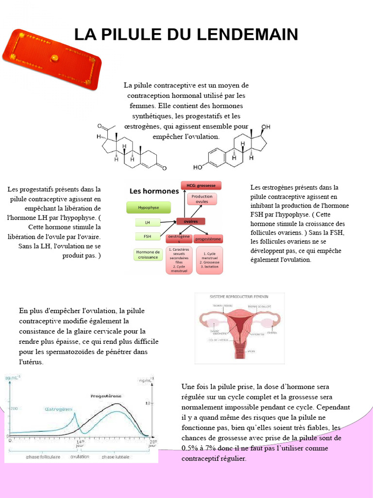 SVT Poster Pilule Du Lendemain | PDF | Progestérone | Contraception