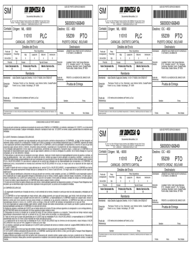 Guía de Porte Servicio Masivo Domesa | PDF | Daños y perjuicios