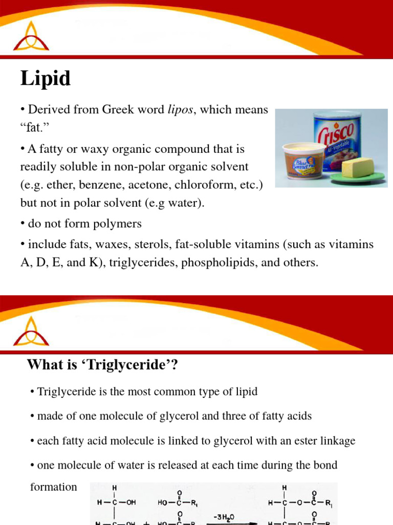 Lipid | PDF | Lipid | Triglyceride