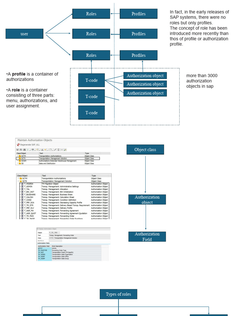 SAP roles and authos | PDF