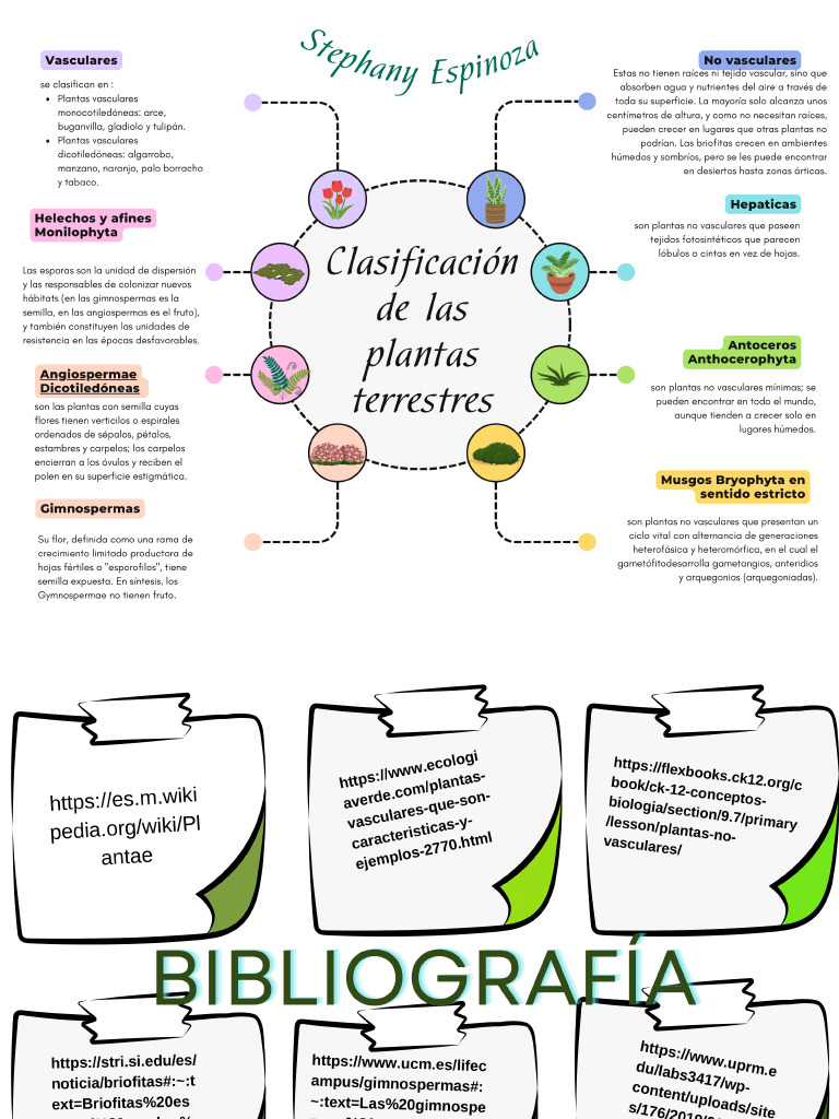Clasificación de Plantas Terrestres | PDF