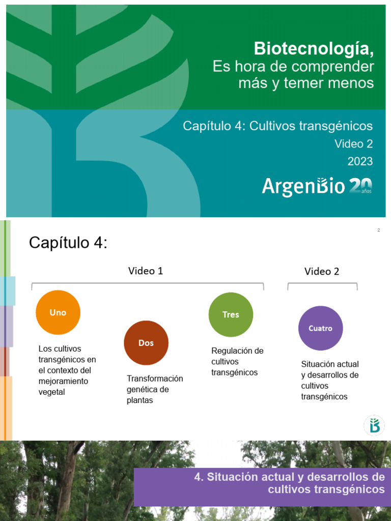 Biotecnologia Capitulo 4 Cultivos Transgenicos 2 | PDF | Cultivos modificados genéticamente ...