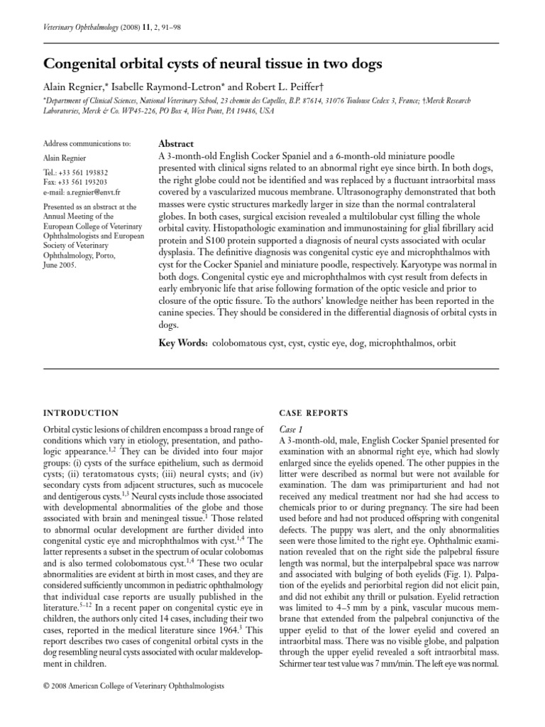 REGNIER, A. Congenital Orbital Cysts of Neural Tissue in Two Dogs | PDF ...