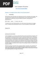Spinach Lab Report | PDF | Photosynthesis | Leaf