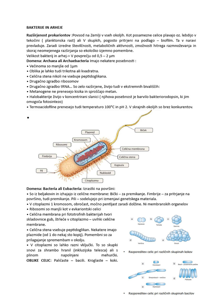 Bakterije in Arheje | PDF