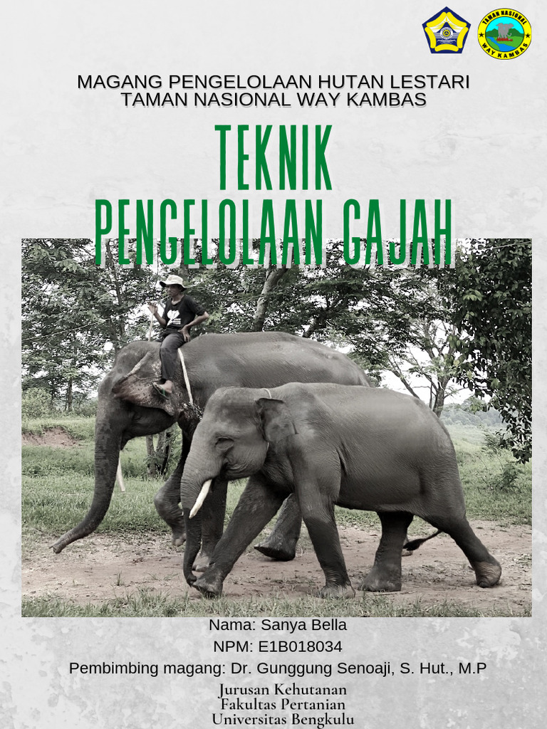 Booklet Sanya (Gajah TNWK) | PDF
