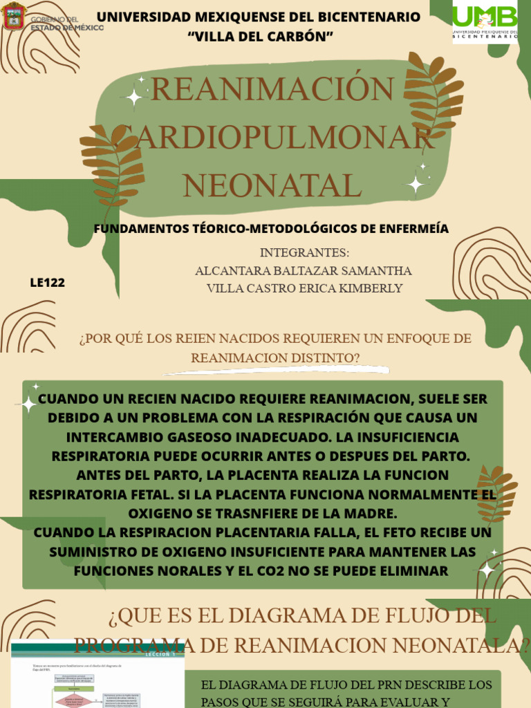 RCP Neonatal, Basico | PDF | Reanimación cardiopulmonar | Corazón