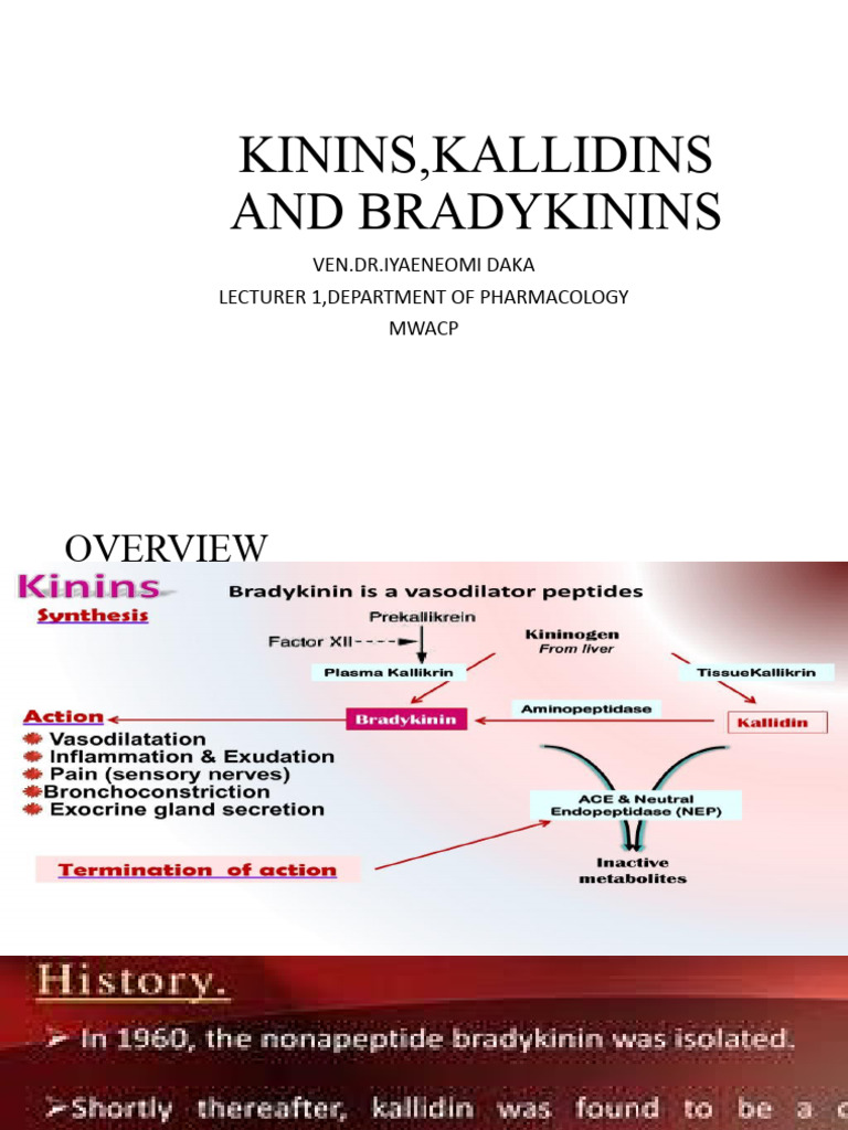 Kallikrein-Kinin System Overview | PDF