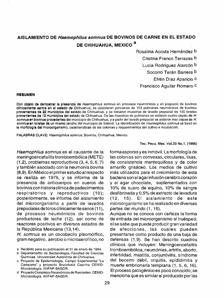 Aislamiento de H. somnus en Bovinos de Chihuahua | PDF | Microbiología ...