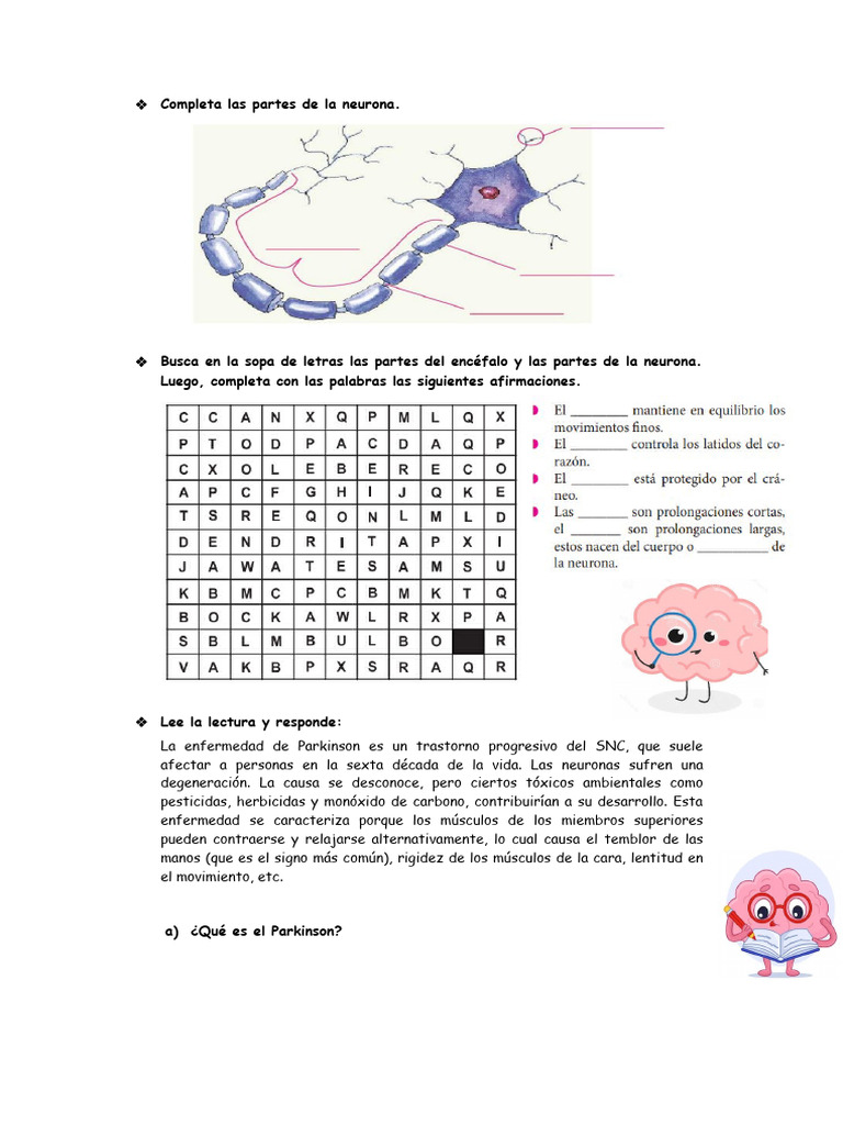 Completa Las Partes de La Neurona | PDF