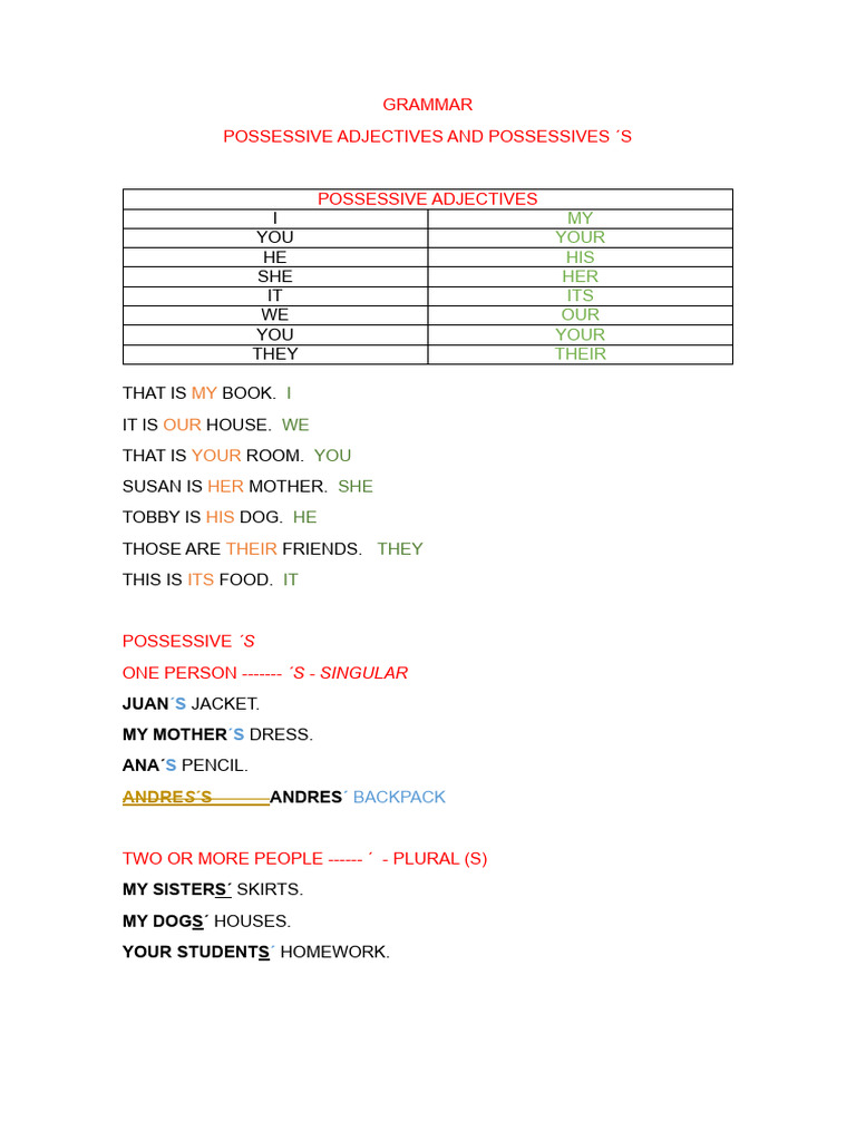 Grammar Possessive Adjectives and Possessive S | PDF