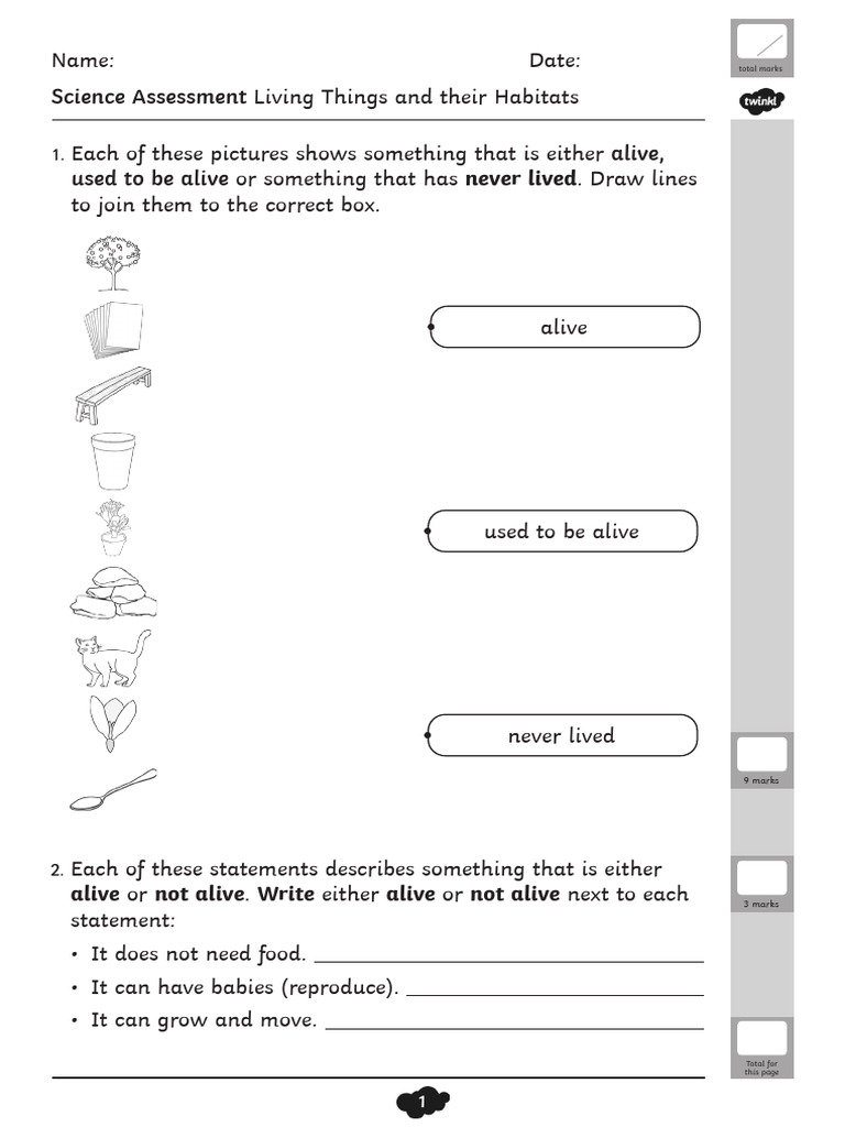 Year 6 Living Things Assessment | PDF | Habitat | Foods