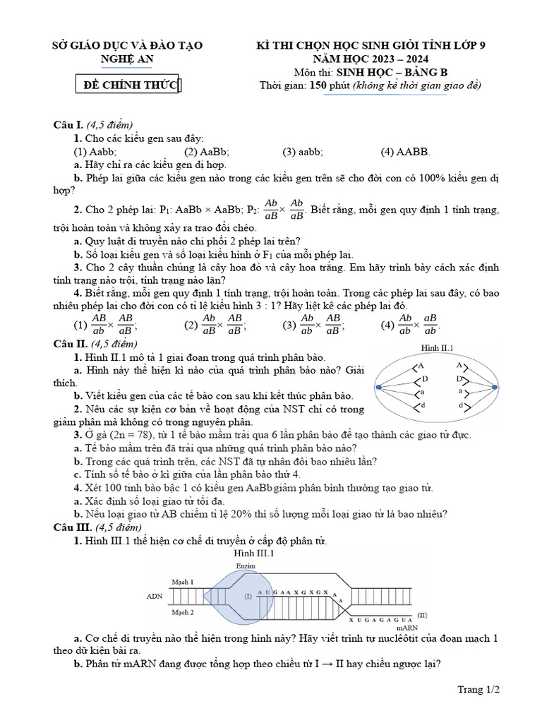 Đề HSG9 - 2024 Môn Sinh Học B | PDF