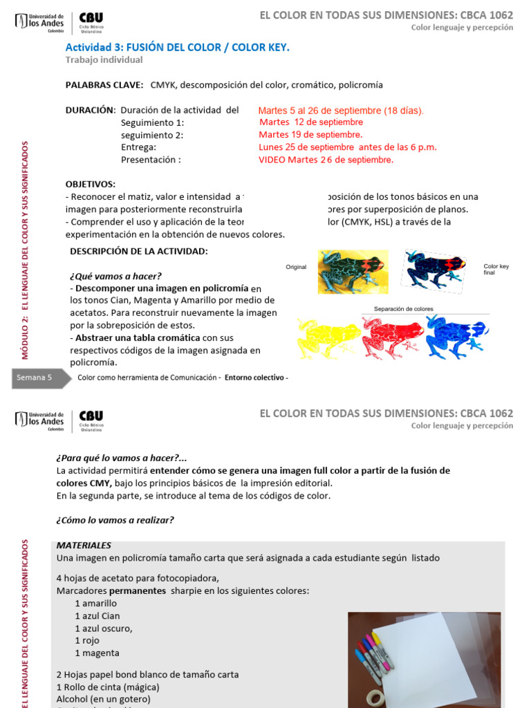 Act. 3 Cbu Color 2023-2 | PDF | Color | Amarillo