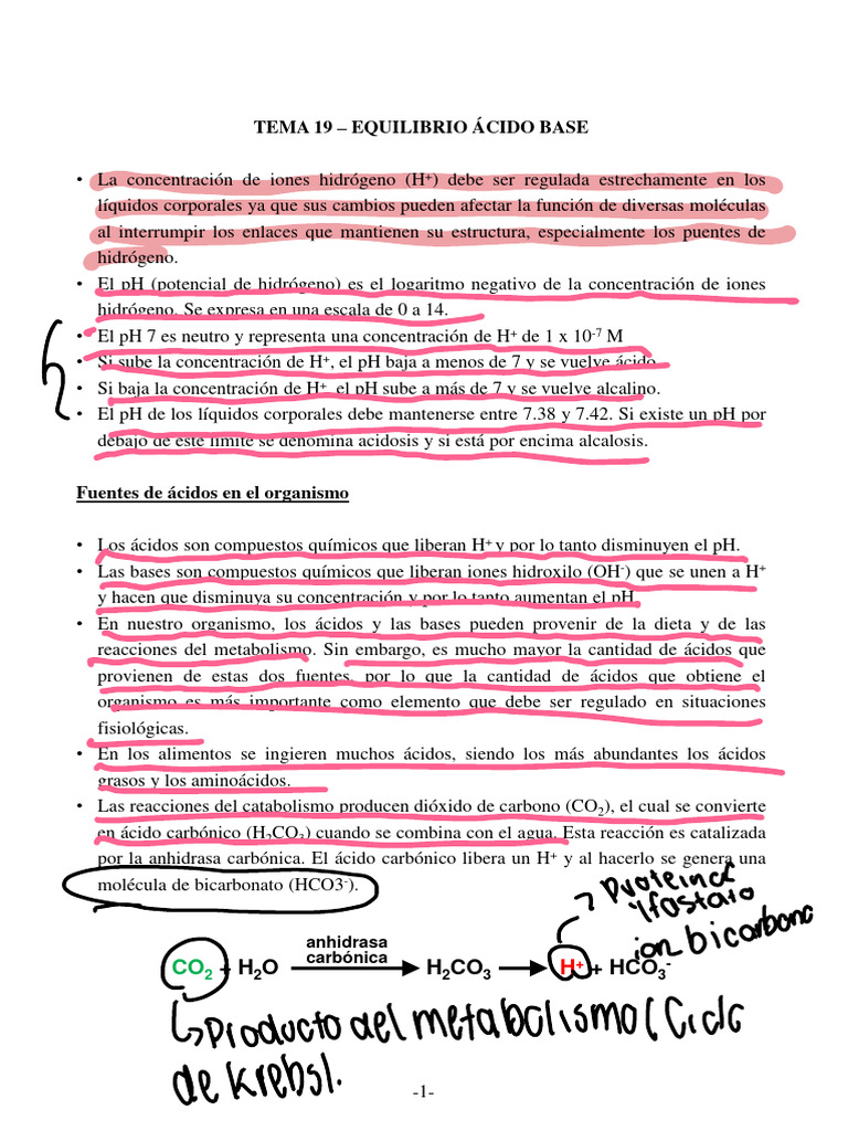 Equilibrio Ácido Base | PDF | Ácido | Riñón