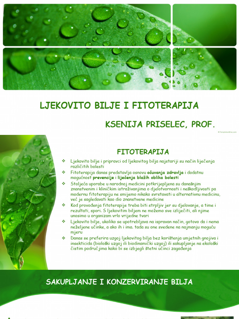 Ljekovito Bilje I Fitoterapija | PDF