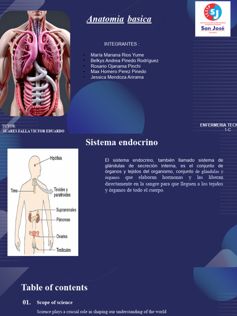 Anatomy & Physiology Lesson For College by Slidesgo (Autoguardado ...