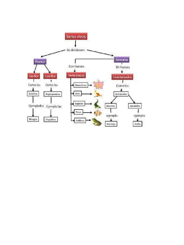 Como Elaborar Mapas Conceptuales | PDF