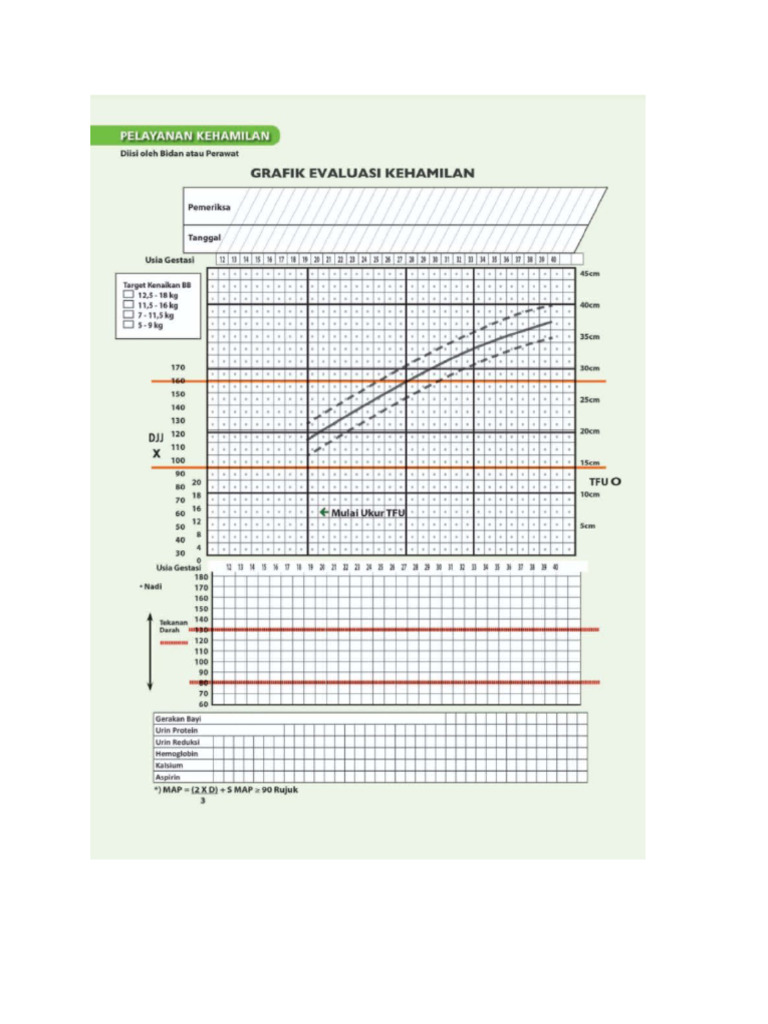 Grafik Evaluasi Kehamilan | PDF