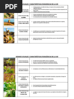 Estados Fenológicos Arándano | PDF | Ramas de la botánica | Botánica