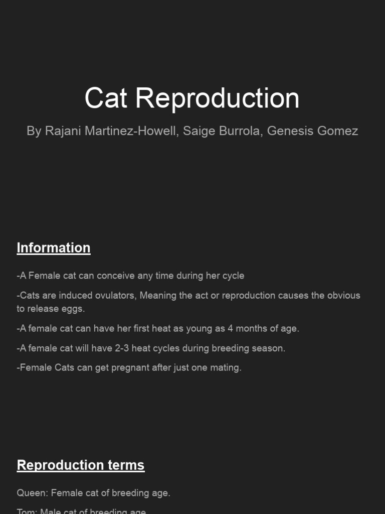 Cat Reproduction | PDF