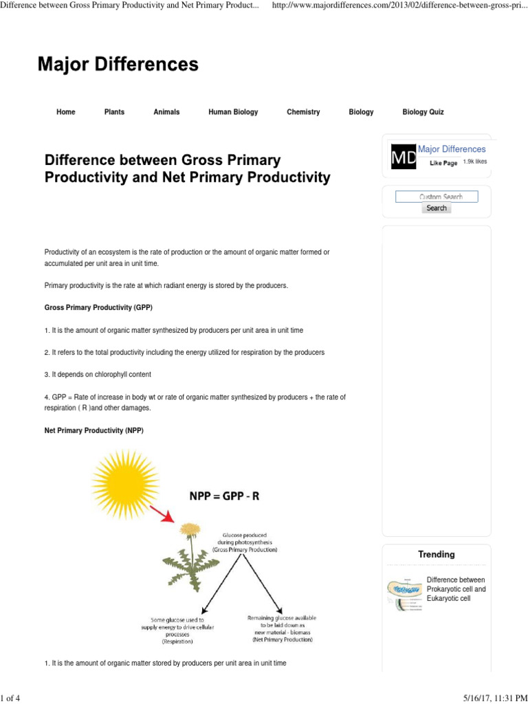Difference Between Gross Primary Productivity and Net Primary ...