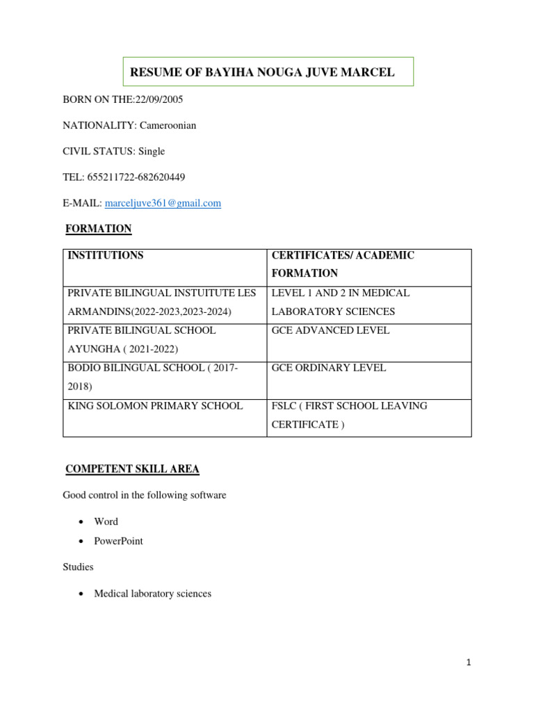 Resume of Bayiha Nouga Juve Marcel | PDF
