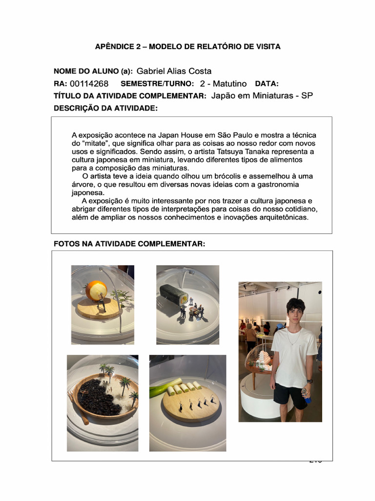 Relatório de Visita - AC | PDF