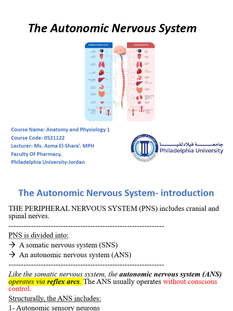 6 - Autonomic Nervous System - Ms. Asma El-Shara | Download Free PDF | Autonomic Nervous System ...