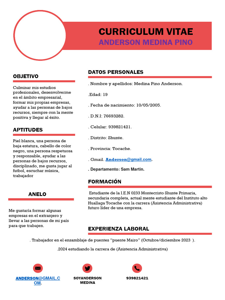Curriculum Vitae Anderson Medina Pino | PDF