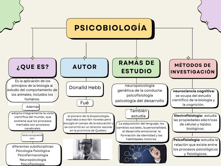 Mapa Conceptual-Psicobiologia | Descargar gratis PDF | Neurociencia conductual | Sicología