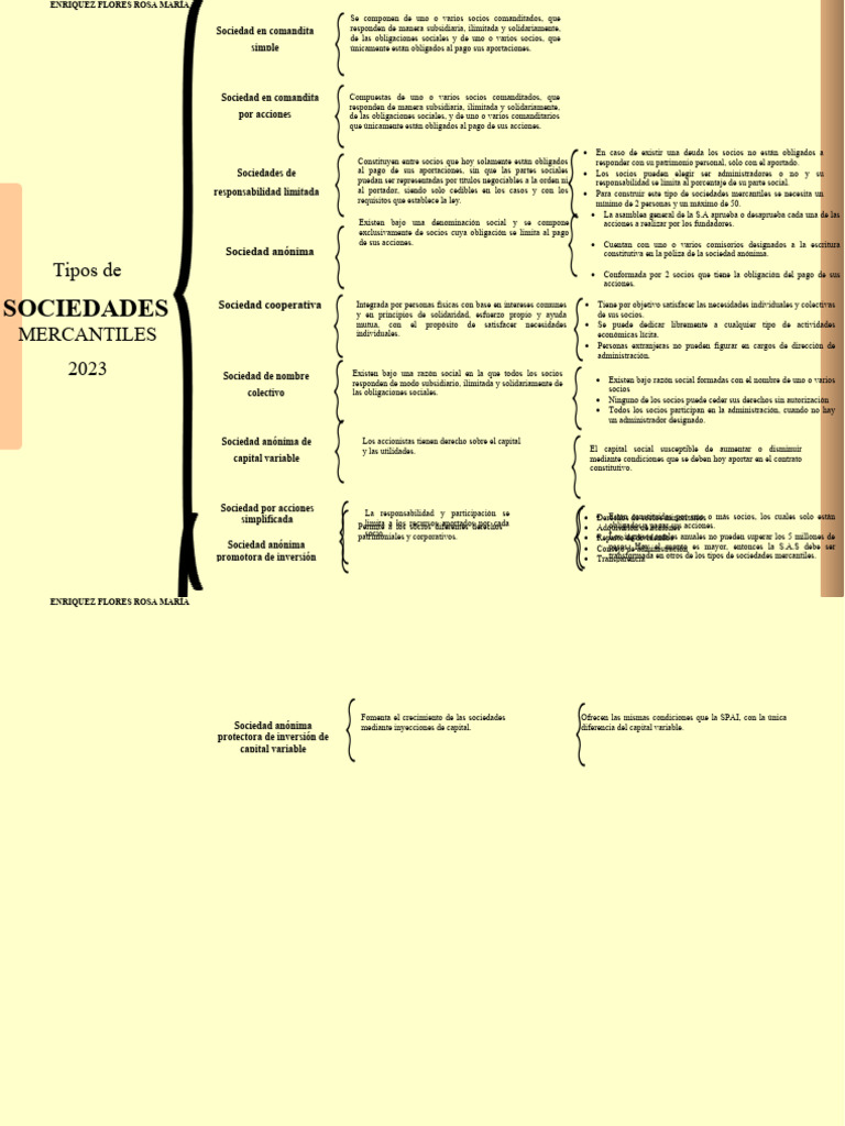 Tipos de Sociedades Mercantiles | PDF | Negocios económicos | Business