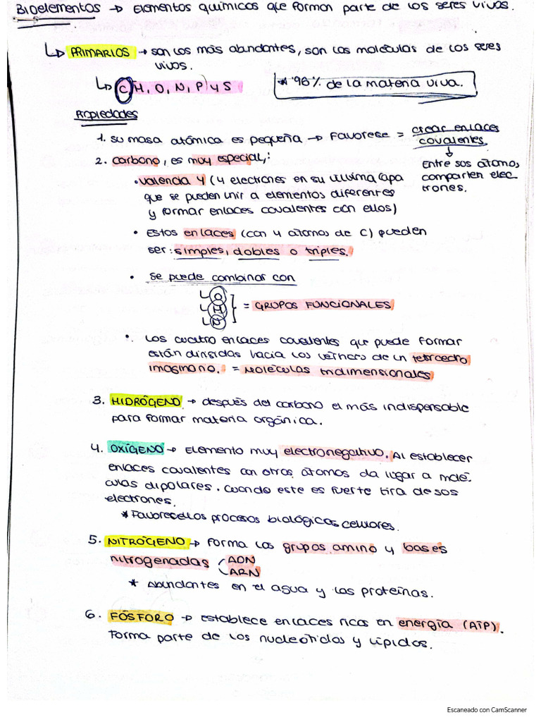 Bioelementos Tema 1 | PDF