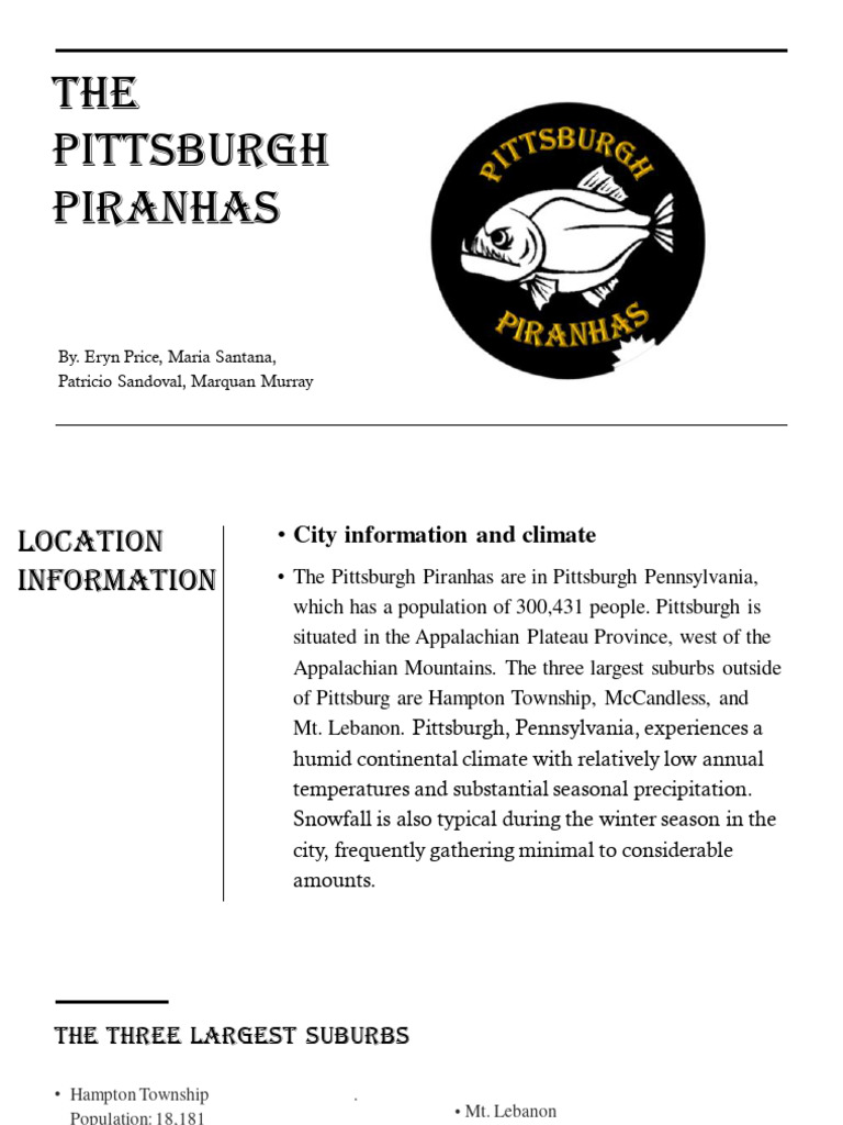 TPP Final | PDF | Pittsburgh | Brand