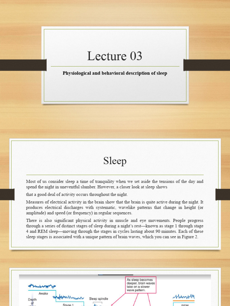 Sleep 2 | PDF | Sleep | Rapid Eye Movement Sleep