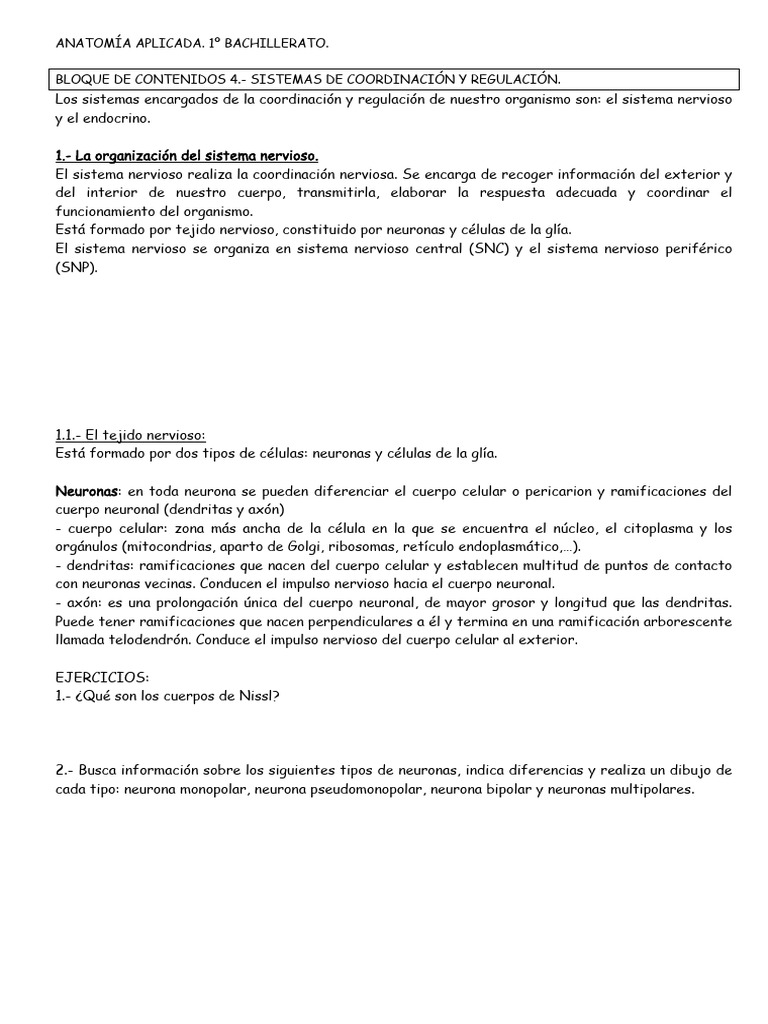 Bloque 4 Bis | PDF | Sinapsis | Sistema nervioso