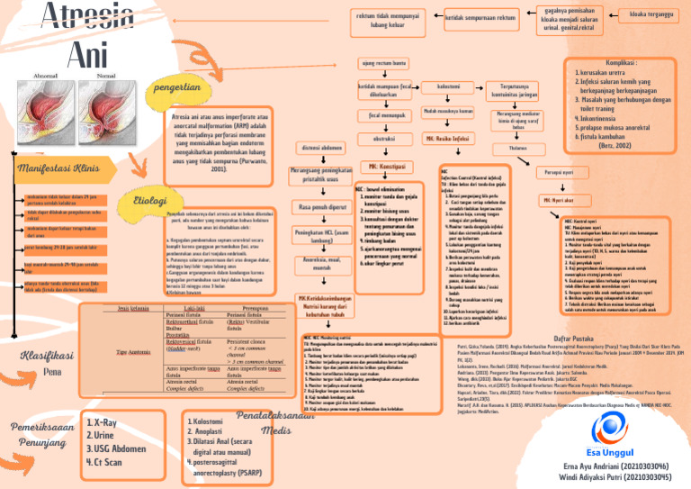 Mind Maping Atresia Ani | PDF