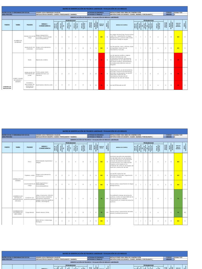 Matriz de Riesgo Excel | PDF | Especialidades Medicas | Medicina CLINICA