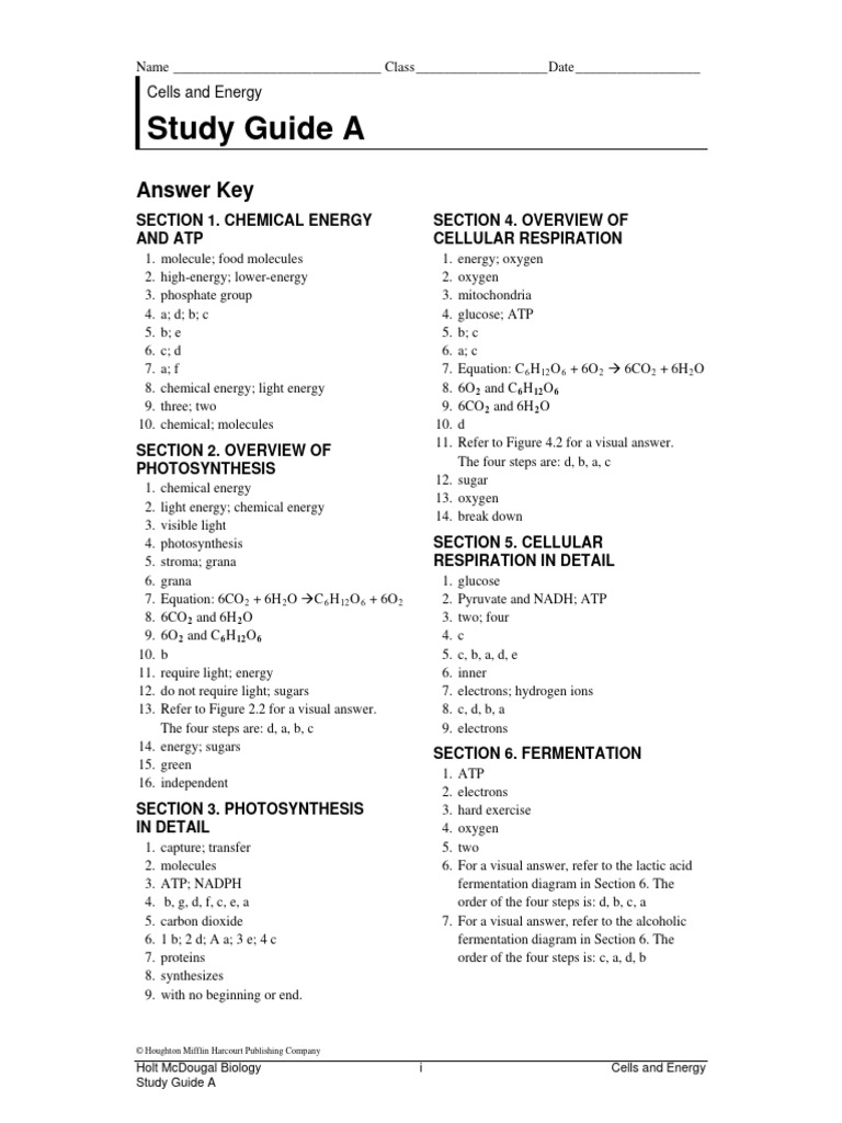 Chapter 4 Study Guide A Pdf Cellular Respiration Photosynthesis