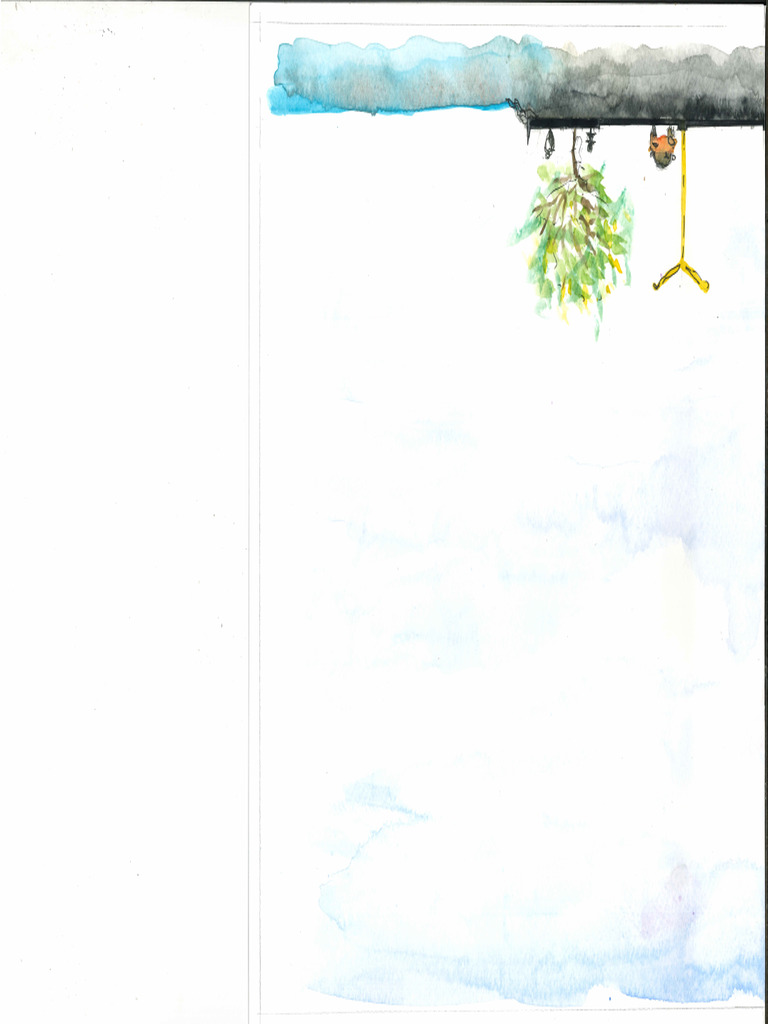 Costa Color Autom | PDF