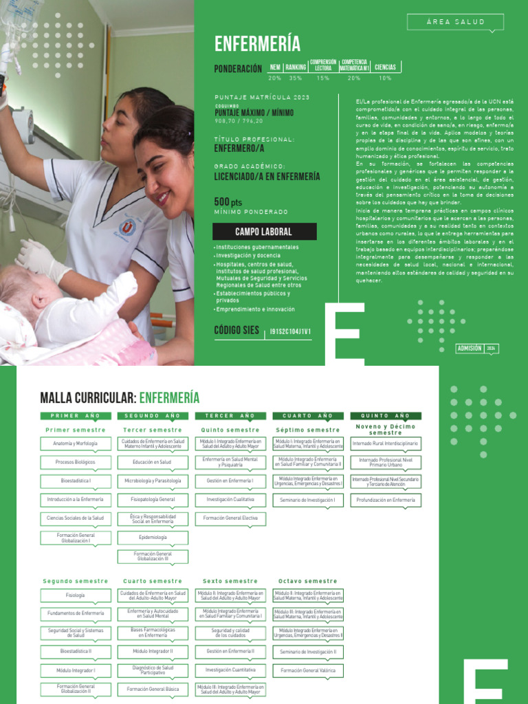 Malla Enfermeria | PDF | Enfermería | Cuidado de la salud