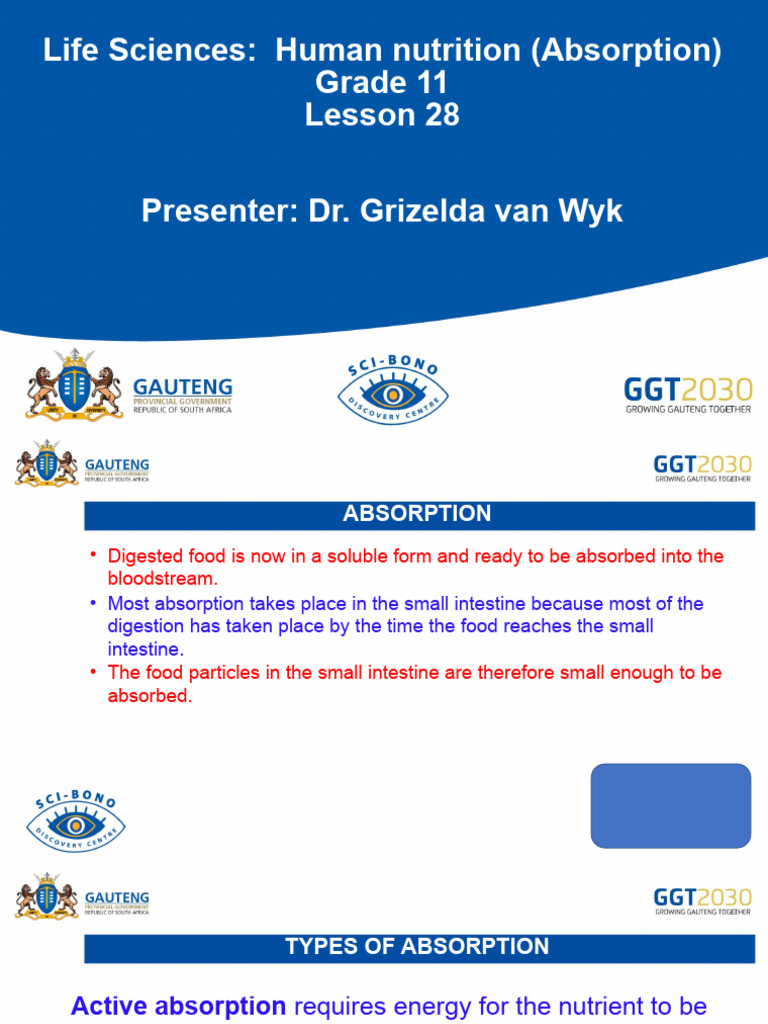 Life Sciences Gr.11 Lesson 28 Human Nutrition (Absorption) | Download ...