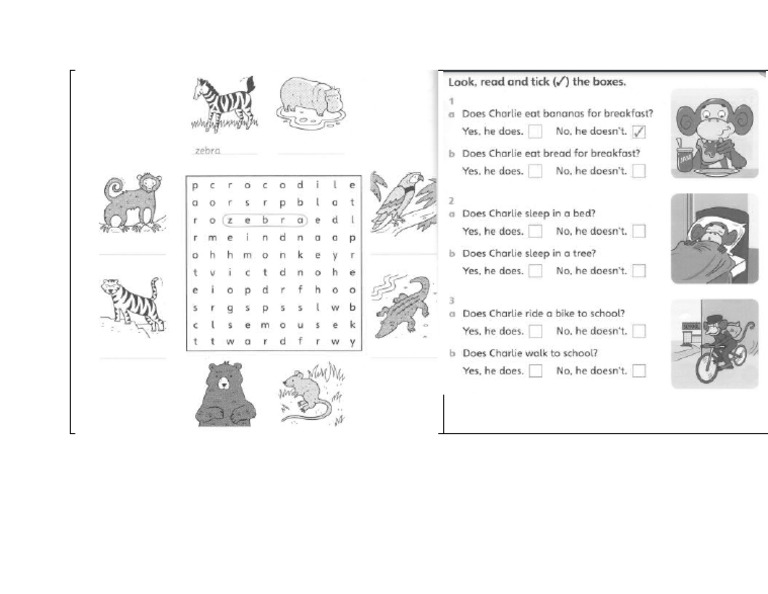 at the zoo-exercises | PDF