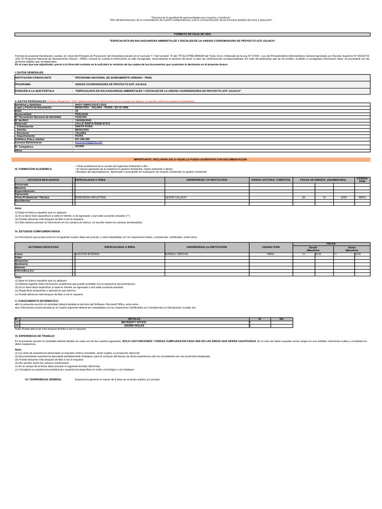 ANEXO N°02 - Formato de Hoja de Vida | PDF
