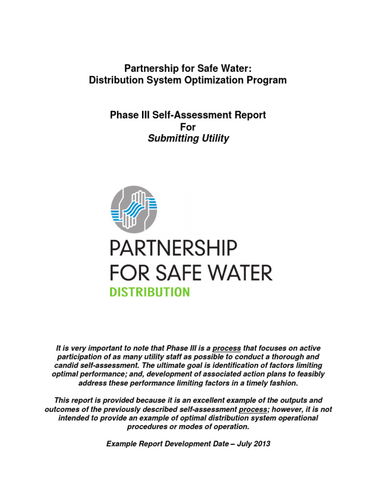PSWD Distribution Example SA Report 092820 | PDF | Water Purification