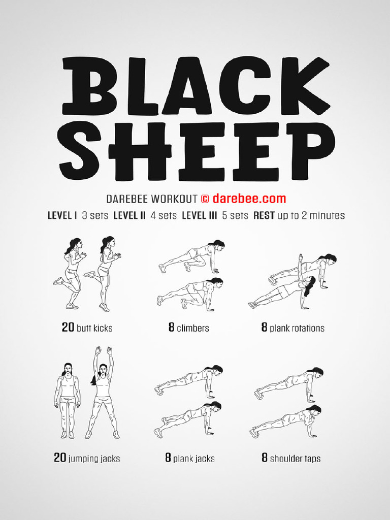 Black Sheep Workout | PDF