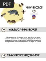 MK Zai 774 Ka Malyshka 1 | PDF