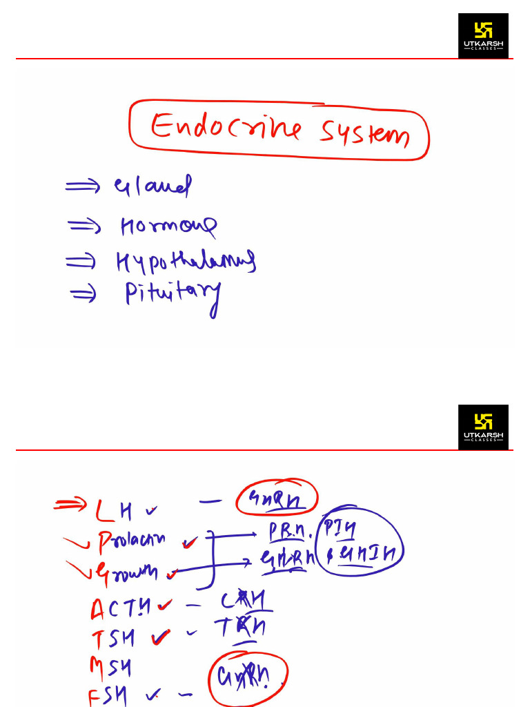Part3 Endocrine System Introduction 11September | PDF